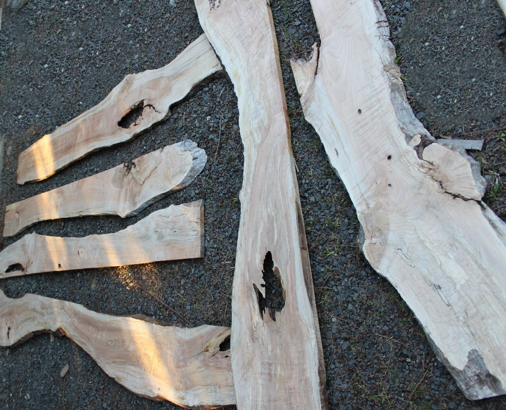 River Tables - Forest Gems Gallery